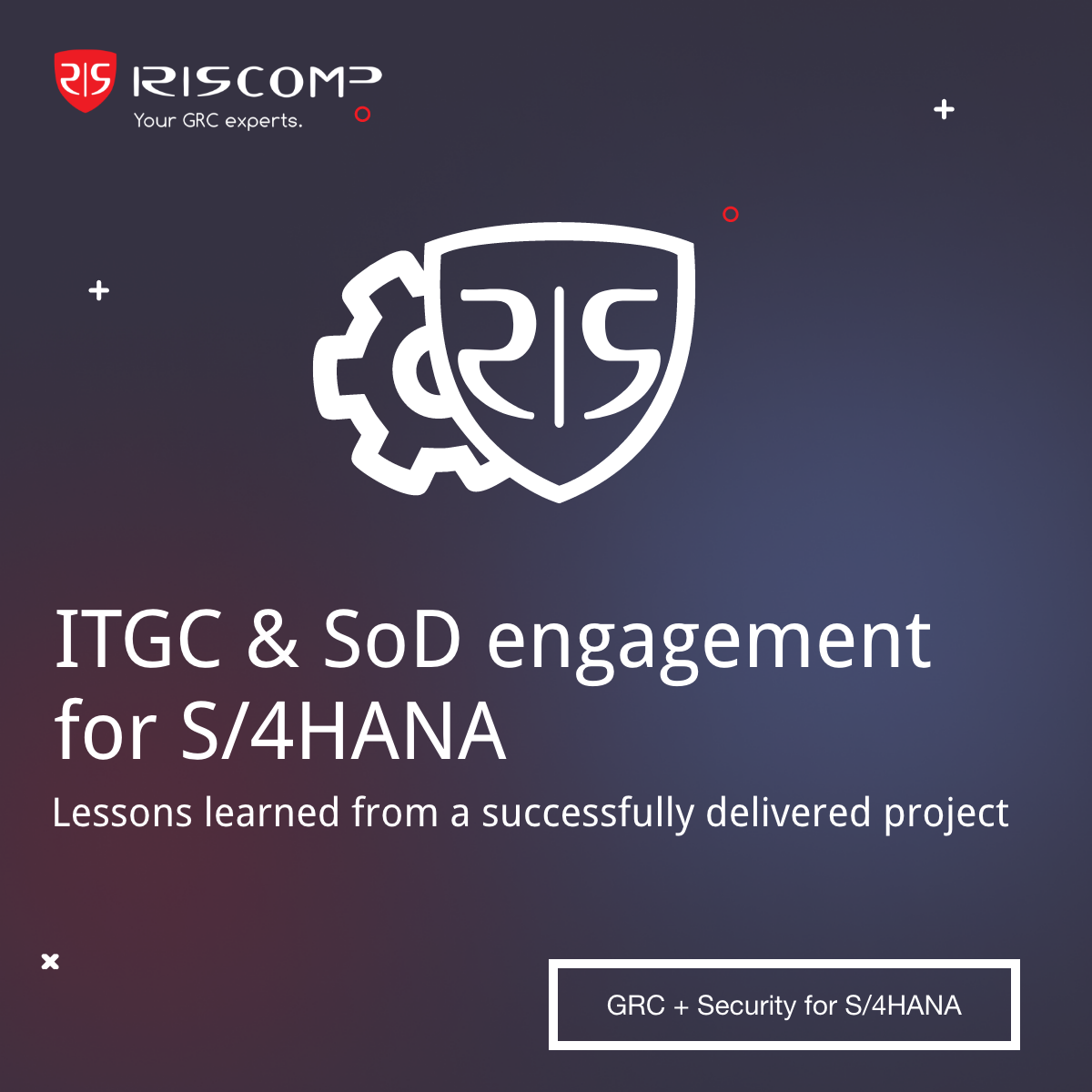Successfully Delivered Itgc And Sod Engagement For S 4hana Riscomp